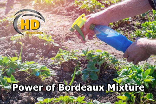 Bordeaux Mixture - Benefits of an Effective Plant Protection Tool ...