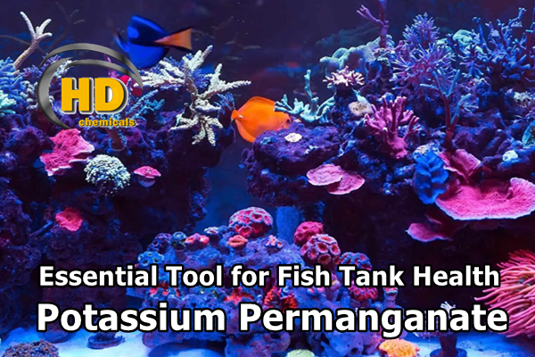 Potassium Permanganate: An Essential Tool for Fish Tank Health - Blog ...