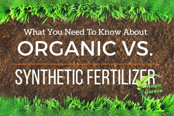 What you need to know about Organic vs Synthetic Fertilizers - Blog ...